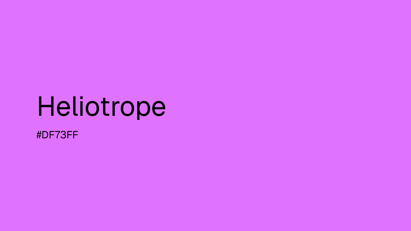 Orchid Color Hex Code Palettes Meaning